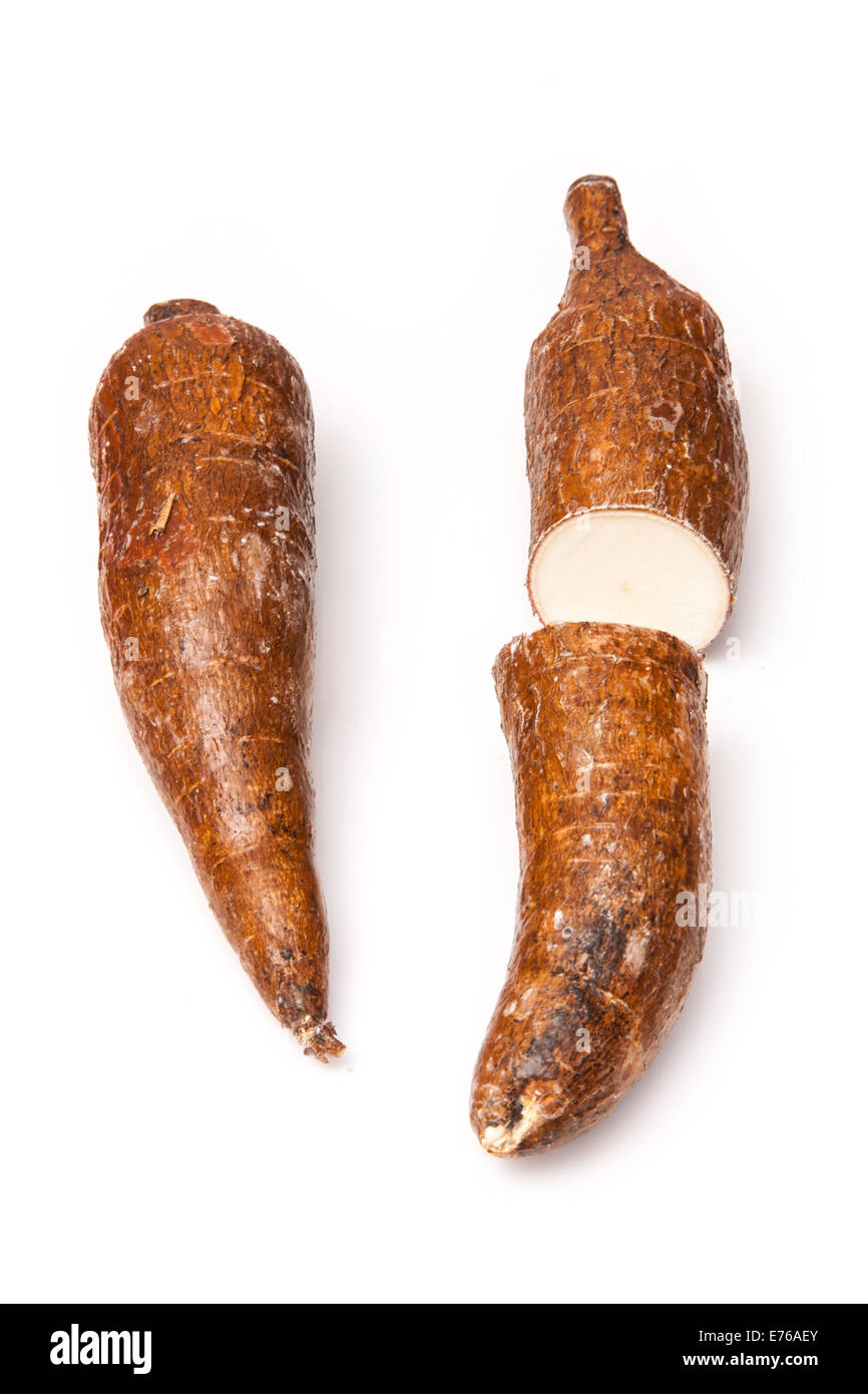 Tapioca root hi-res stock photography and images - Alamy