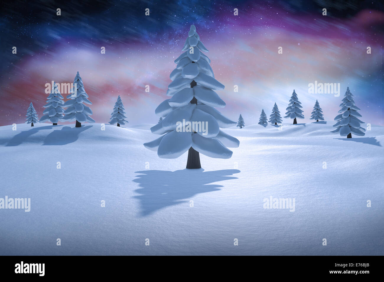 White fir trees forest landscape hi-res stock photography and images ...