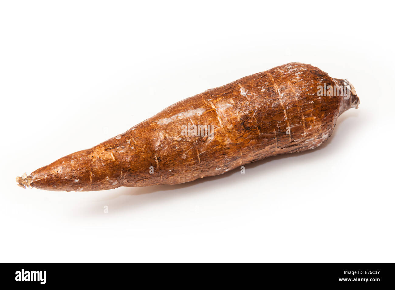 Cassava Root Tapioca