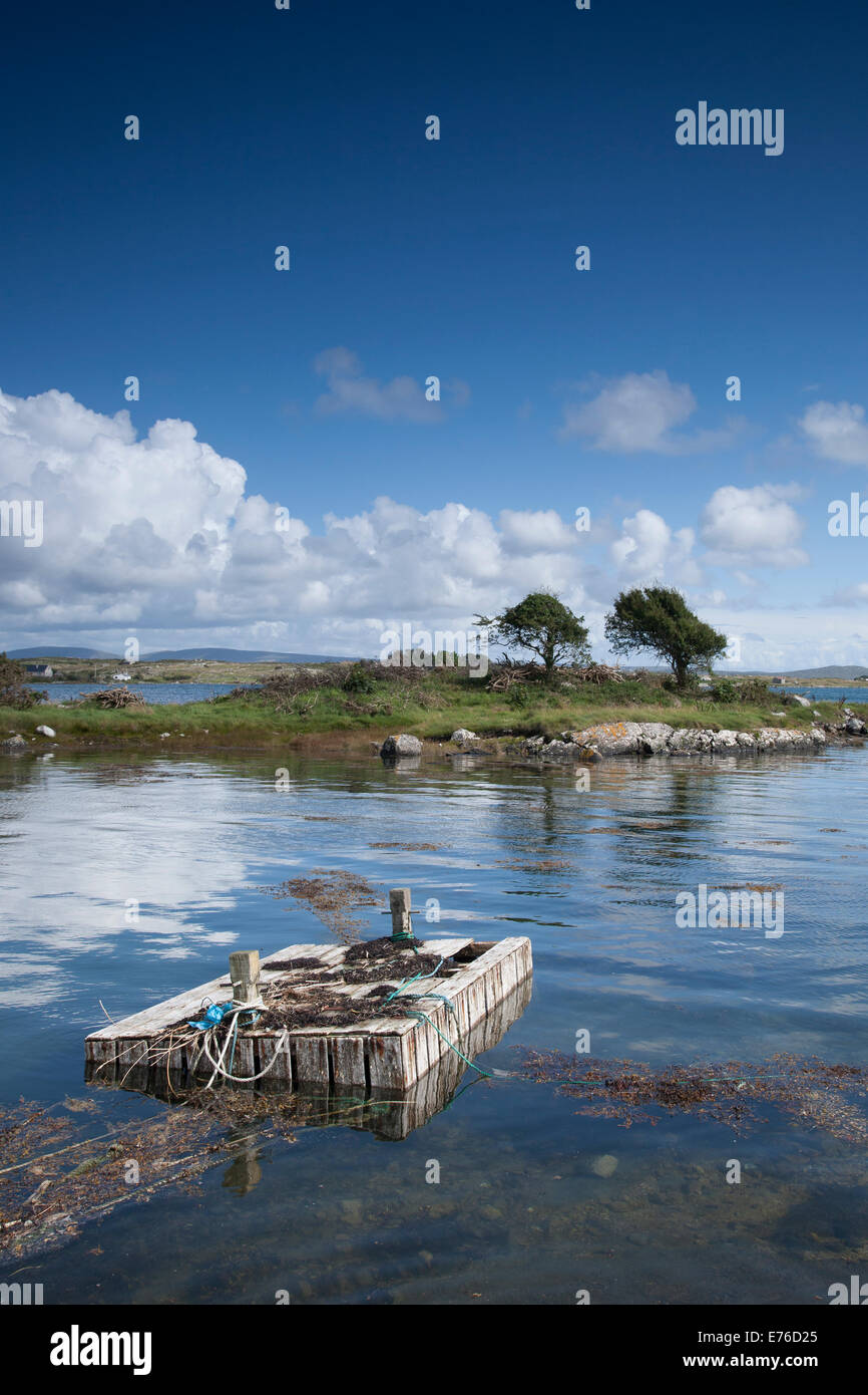 Roundstone Bog Estuary, Connemara, County Galway, Ireland Stock Photo ...