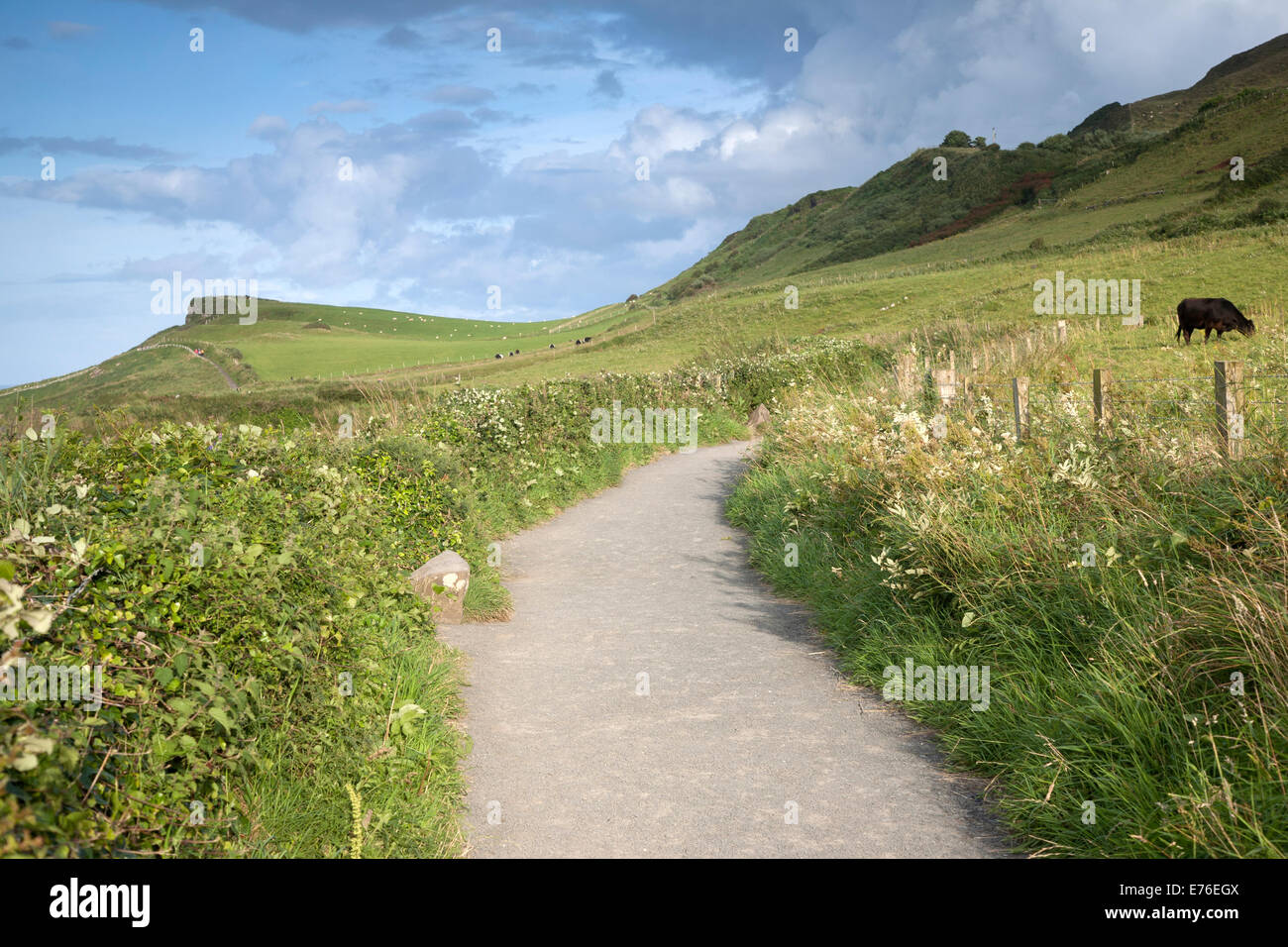 Carrick a Rede, Giants Causeway Coastal Footpath, County Antrim ...