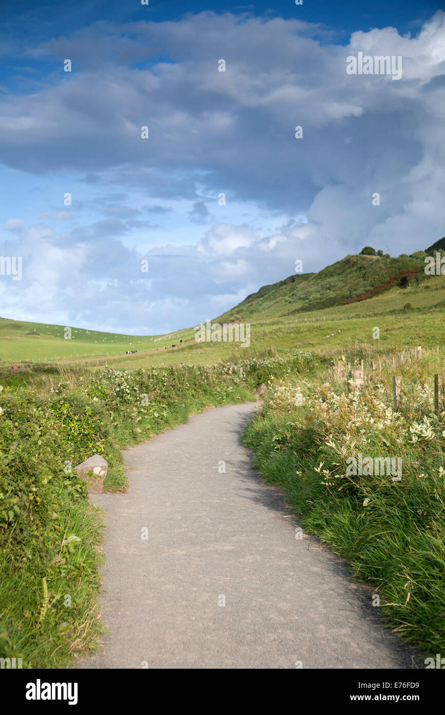 Carrick a Rede, Giants Causeway Coastal Footpath, County Antrim ...