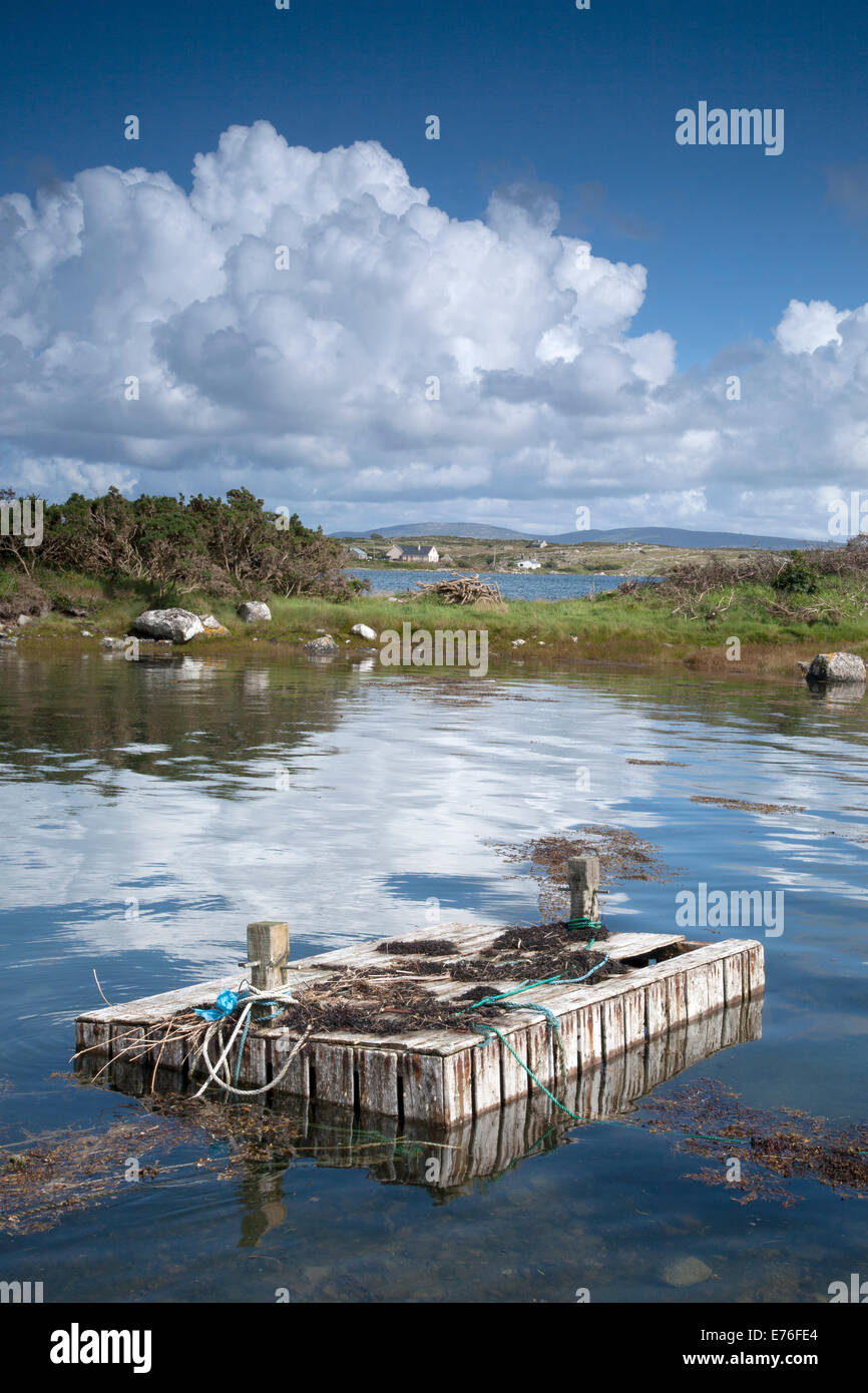Roundstone Bog Estuary, Connemara, County Galway, Ireland Stock Photo ...