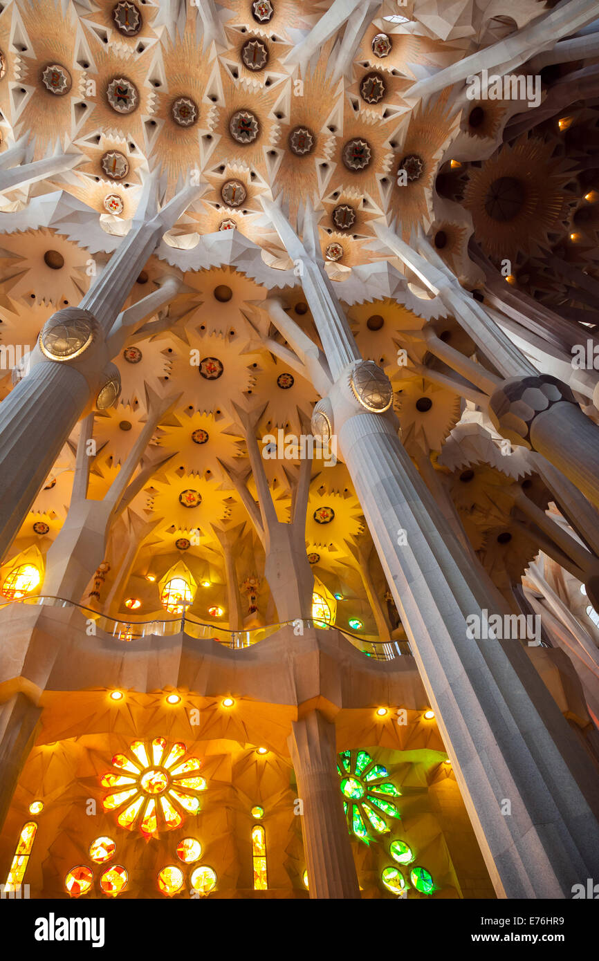 BARCELONA, SPAIN - AUGUST 27, 2014: Vaulted ceiling and columns of La ...