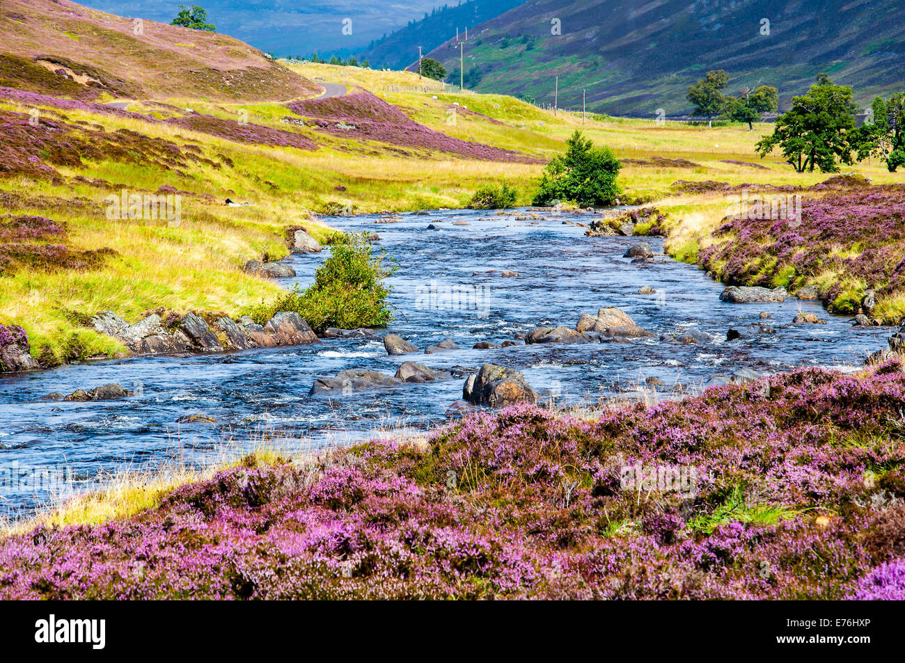 sunny day in the scottish highlands Stock Photo - Alamy