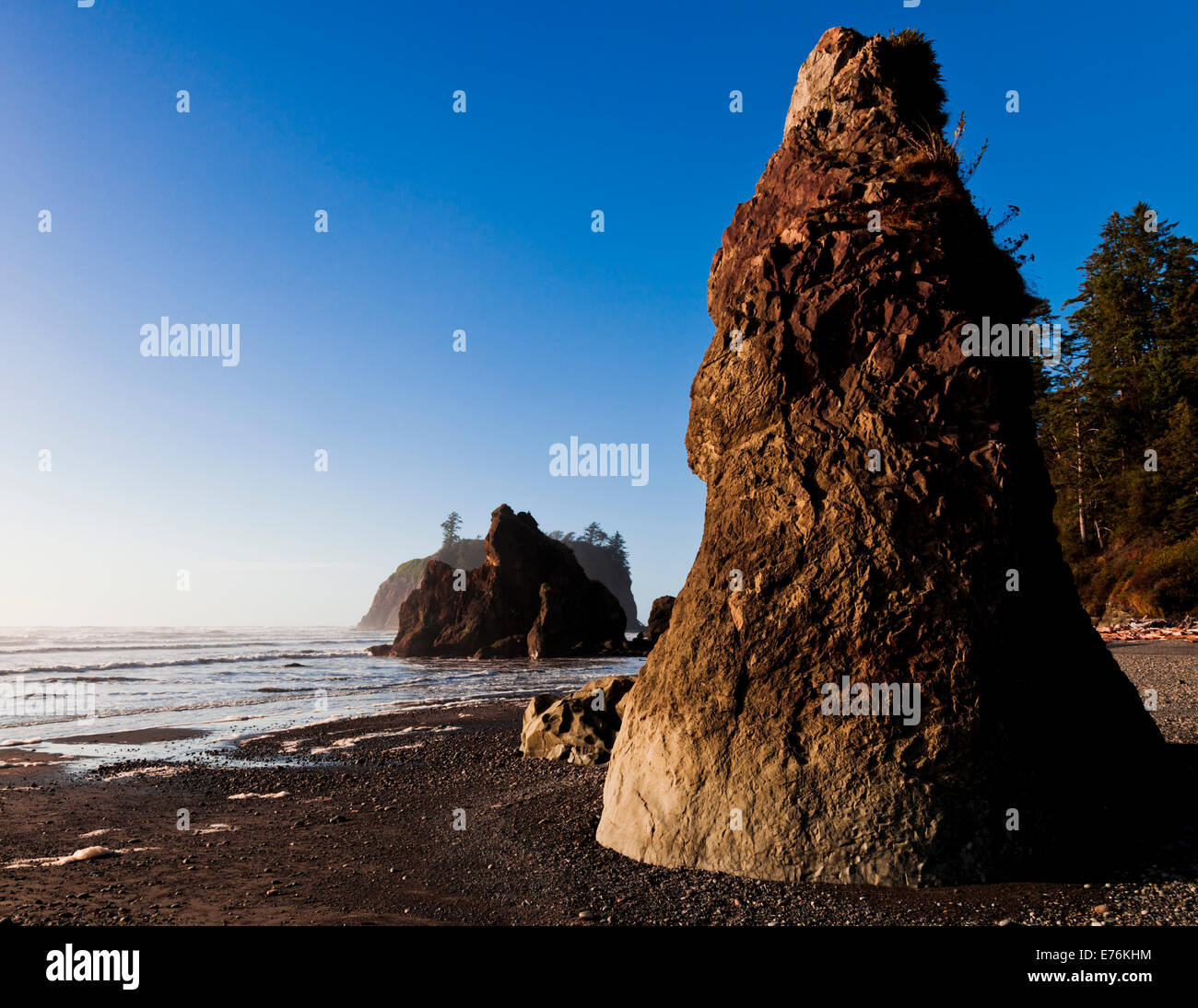 Sea stack on Ruby Beach, Olympic National Park Washington Stock Photo ...