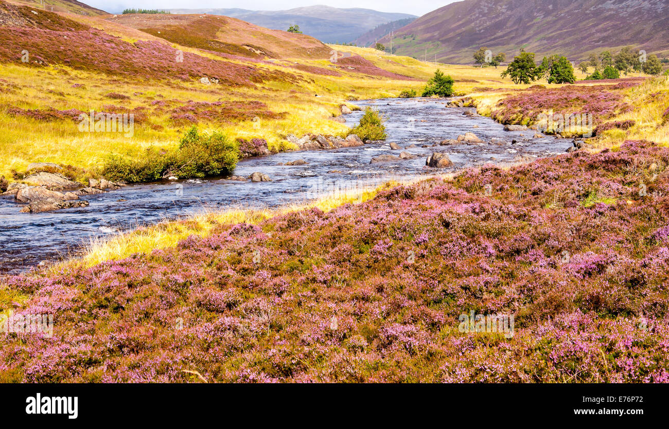 Highlands view hi-res stock photography and images - Alamy