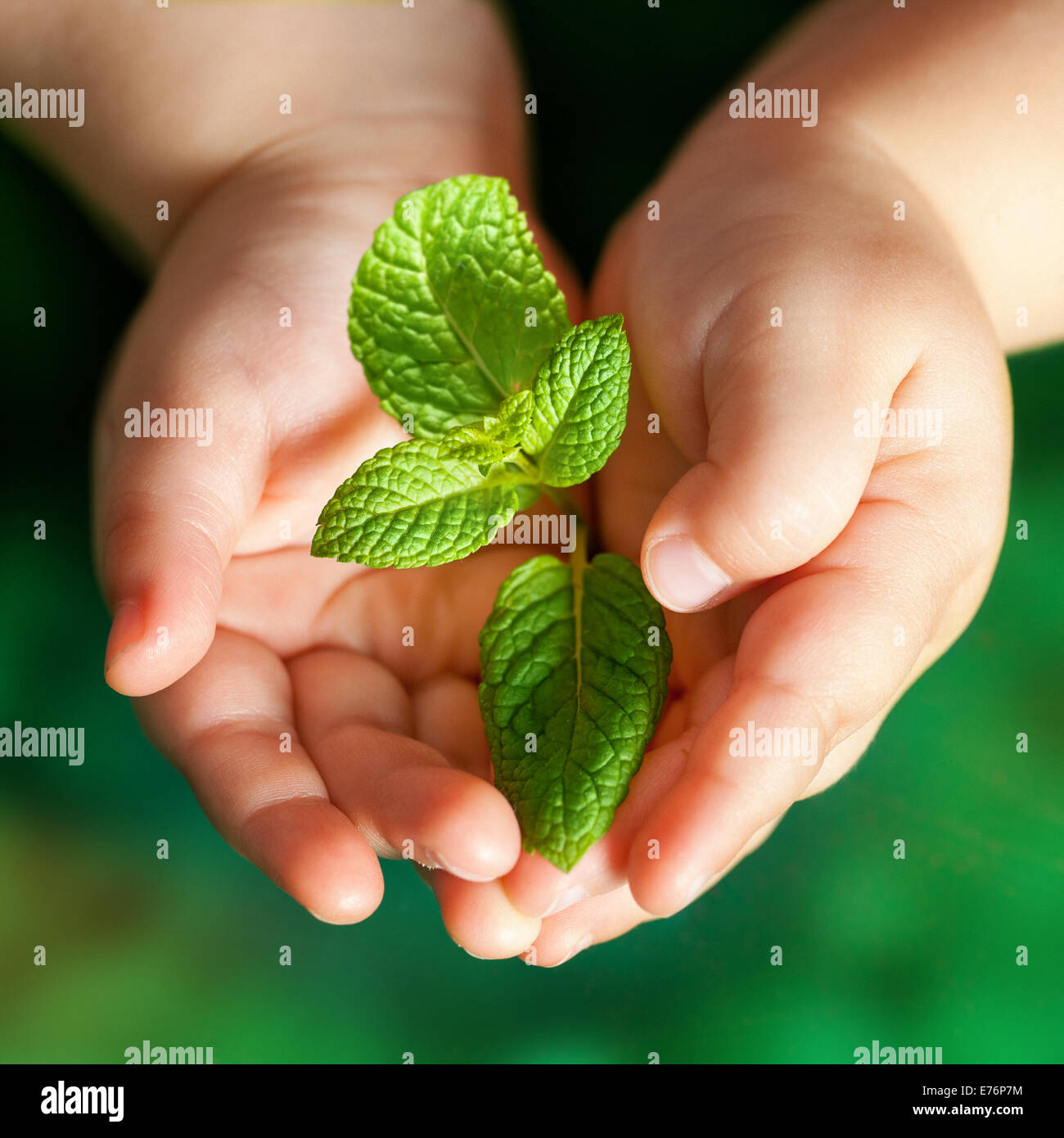 Green farming concept hi-res stock photography and images - Alamy