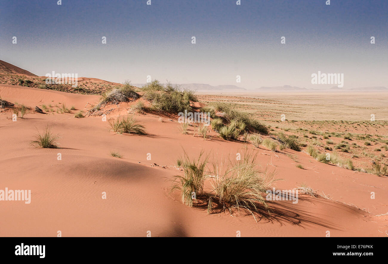 landscape of the desert of Namibia (Africa Stock Photo - Alamy