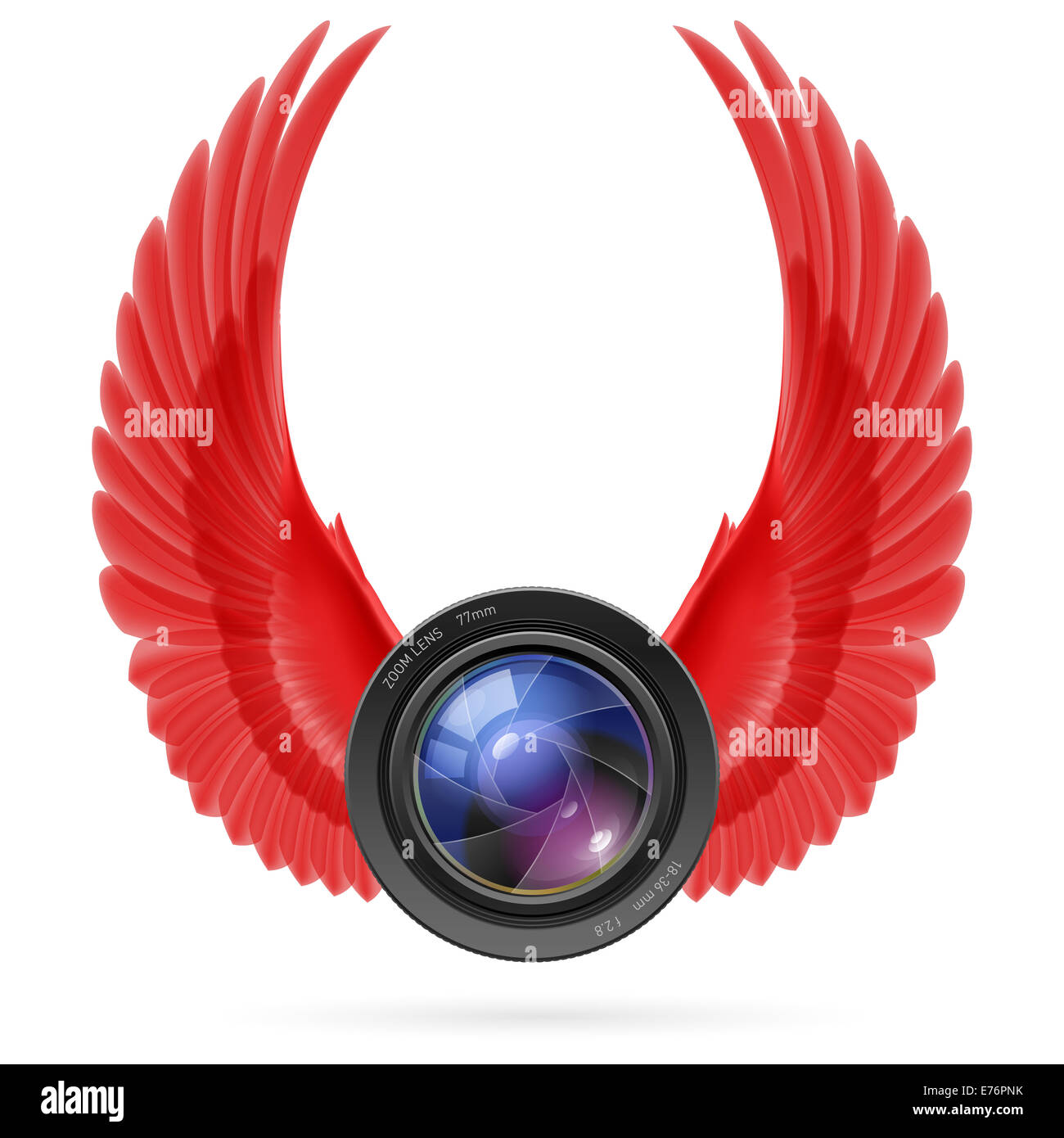 Photo camera with wings hi-res stock photography and images - Alamy