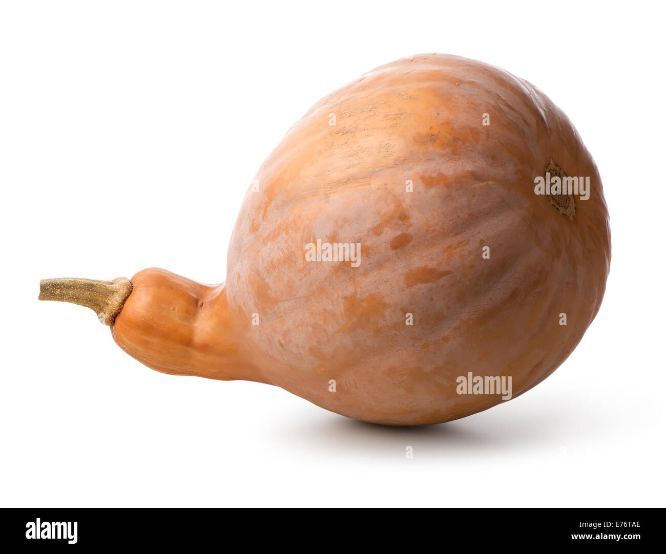 Big pumpkin isolated on a white background Stock Photo - Alamy