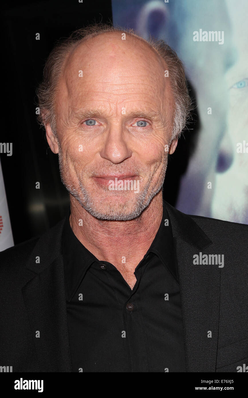 Screening of IFC Films' 'The Face of Love' at LACMA Featuring: Ed ...