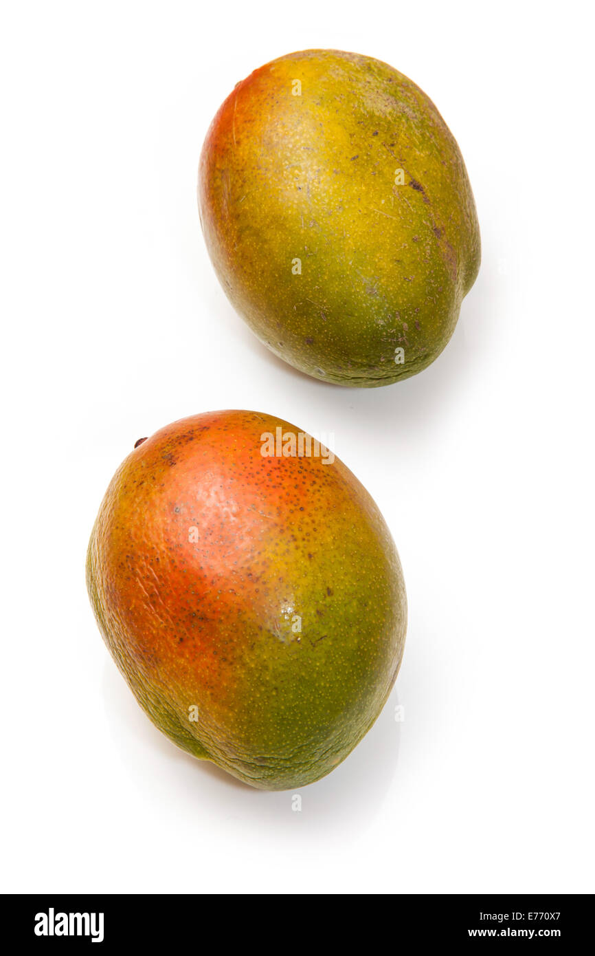 Fresh mango fruits isolated on a white studio background Stock Photo ...