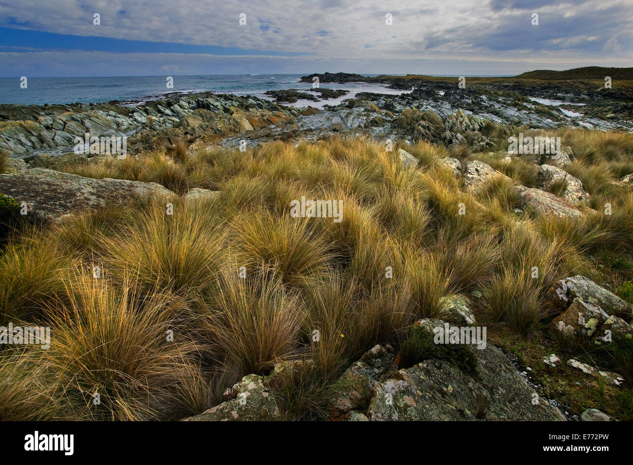 Rocky environments hi-res stock photography and images - Alamy
