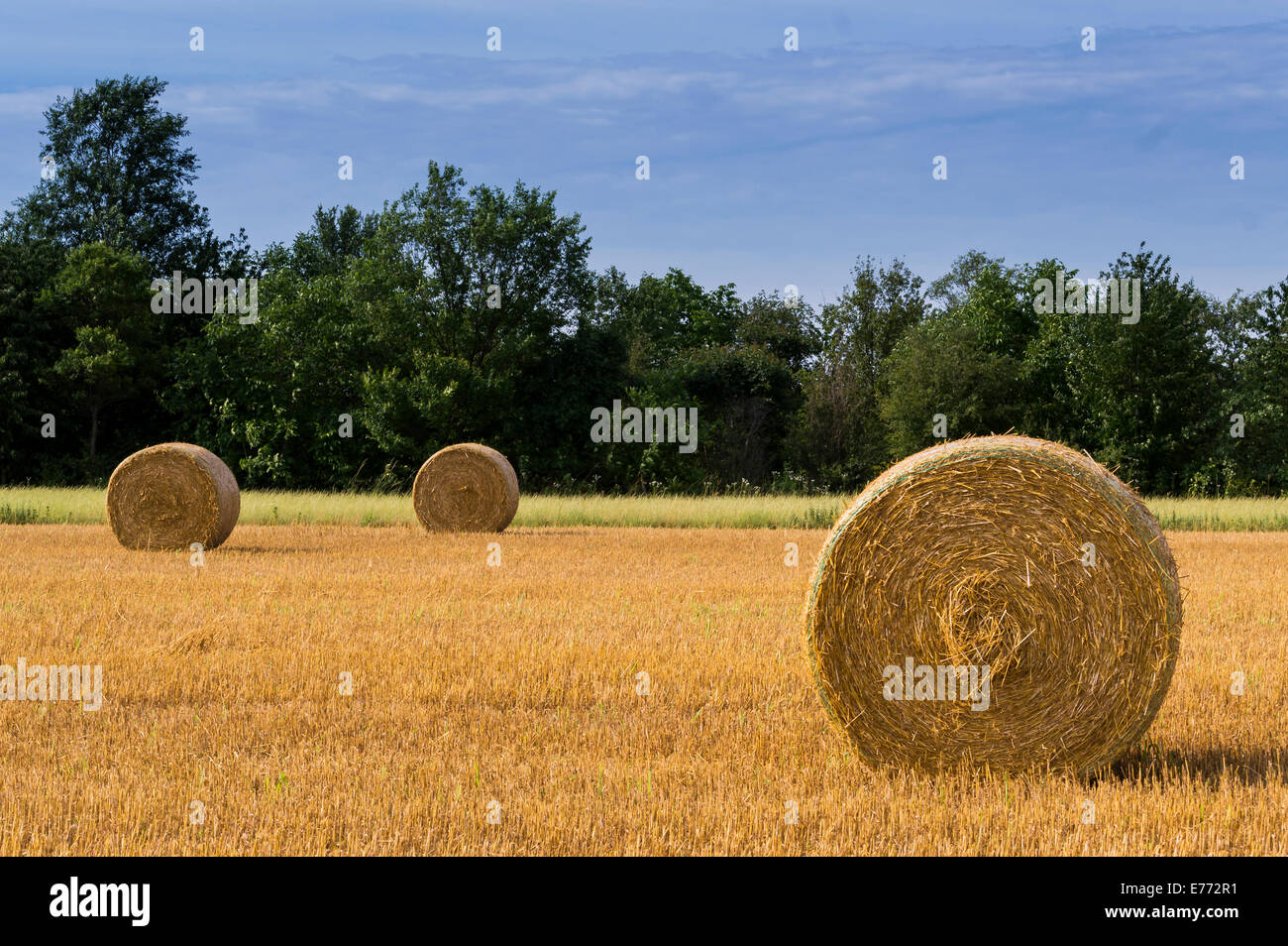 Bales of hay Stock Photo - Alamy