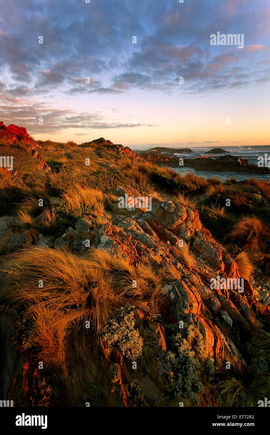 Shoreline environments hi-res stock photography and images - Alamy