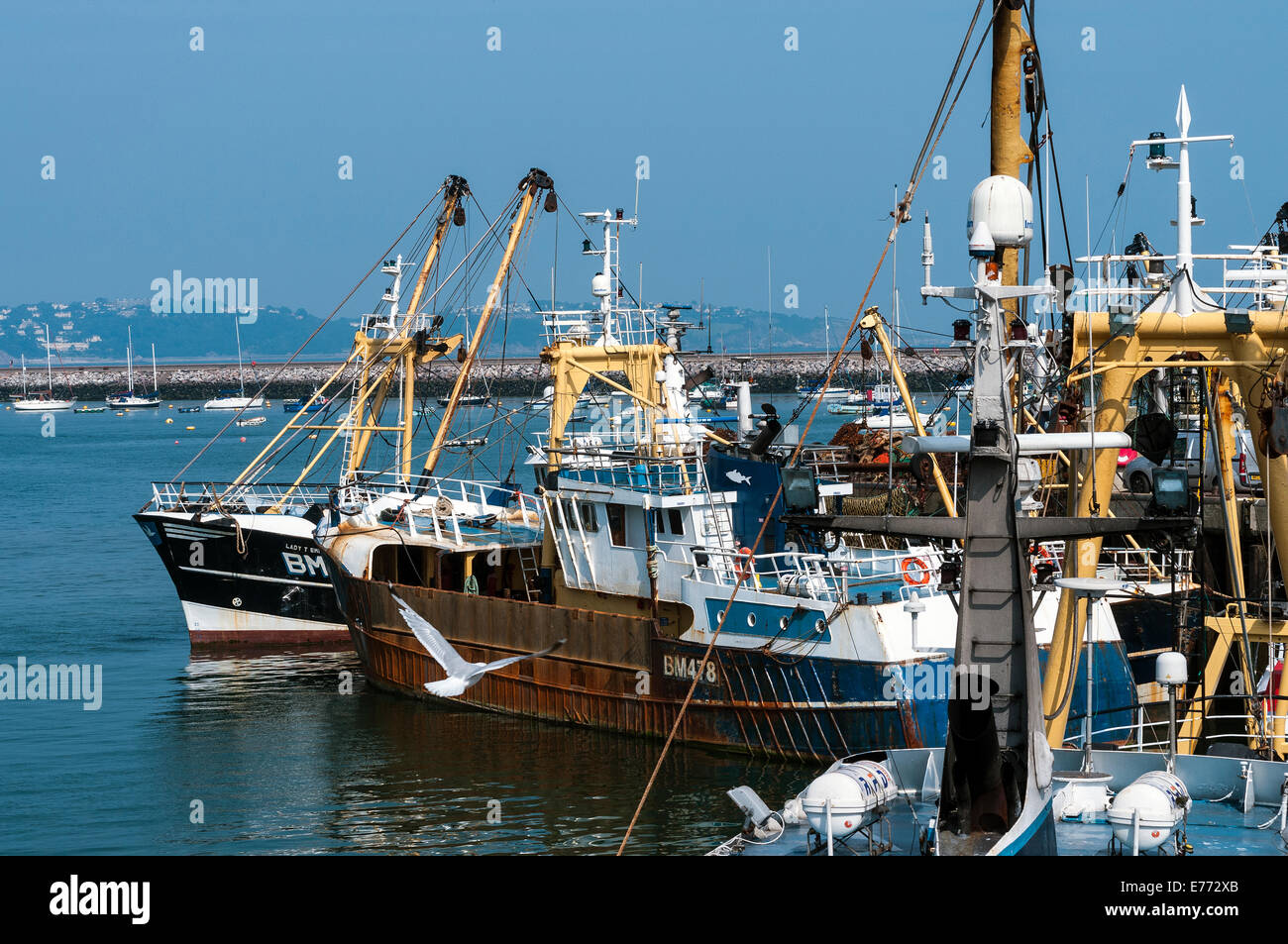 Brixham fishing fleet in harbour,boat, breakwater, brixham, coast ...