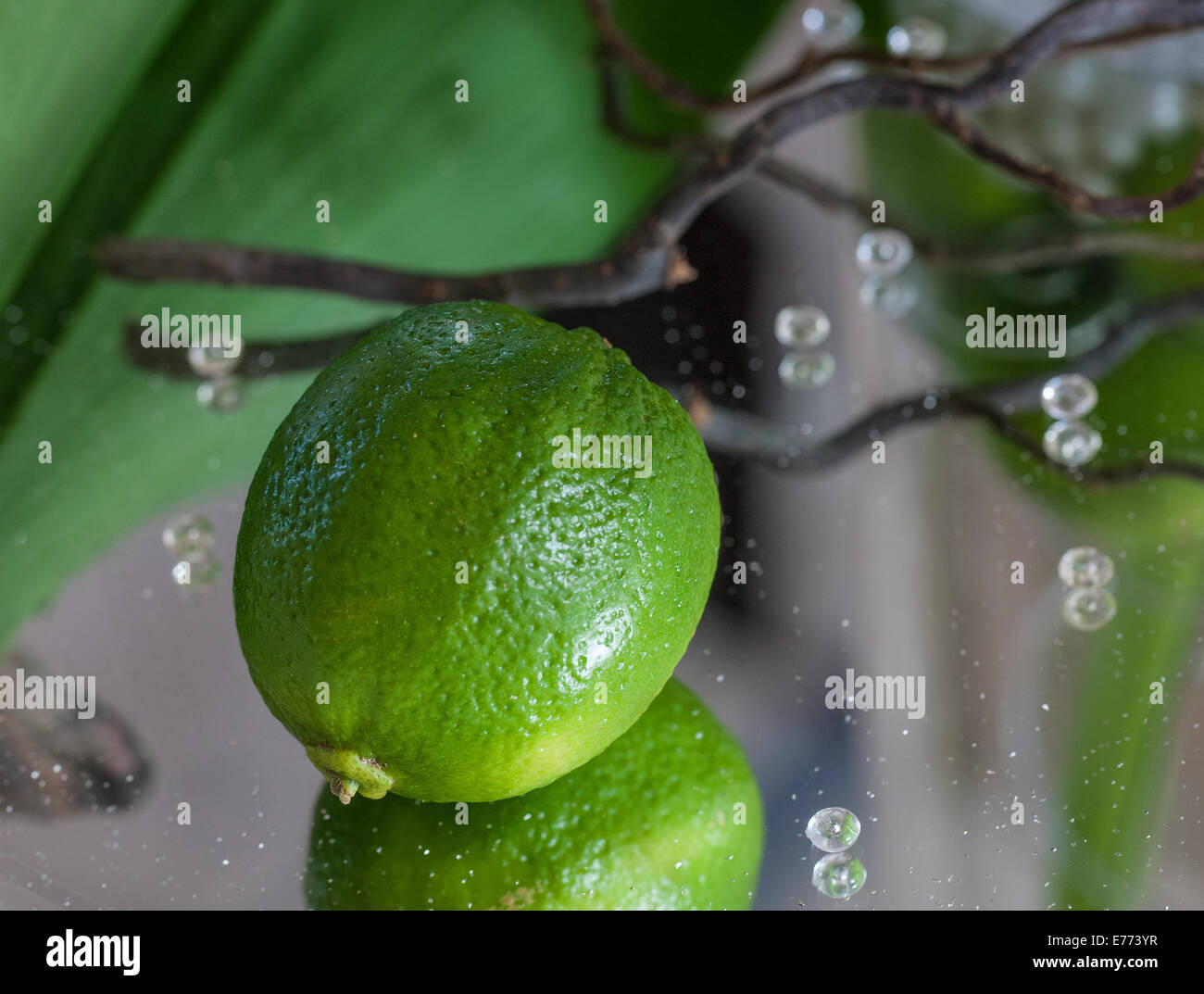 Table decoration with a lime Stock Photo - Alamy