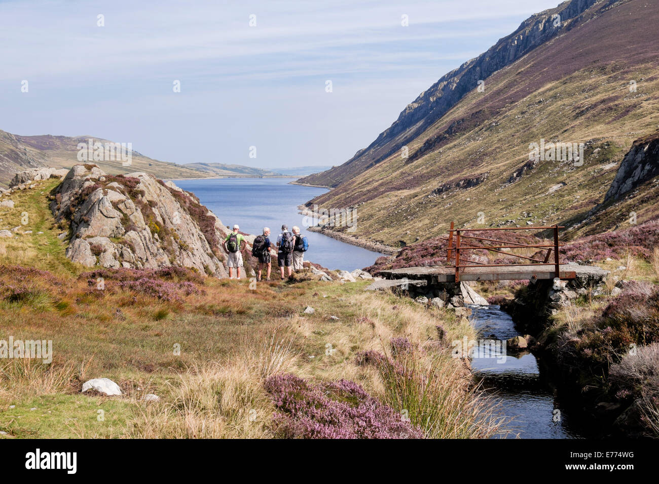 Walkers looking north to Llyn Cowlyd Reservoir below Creigiau Gleision ...