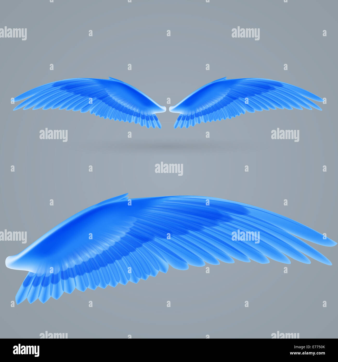 Dark blue wings hi-res stock photography and images - Alamy