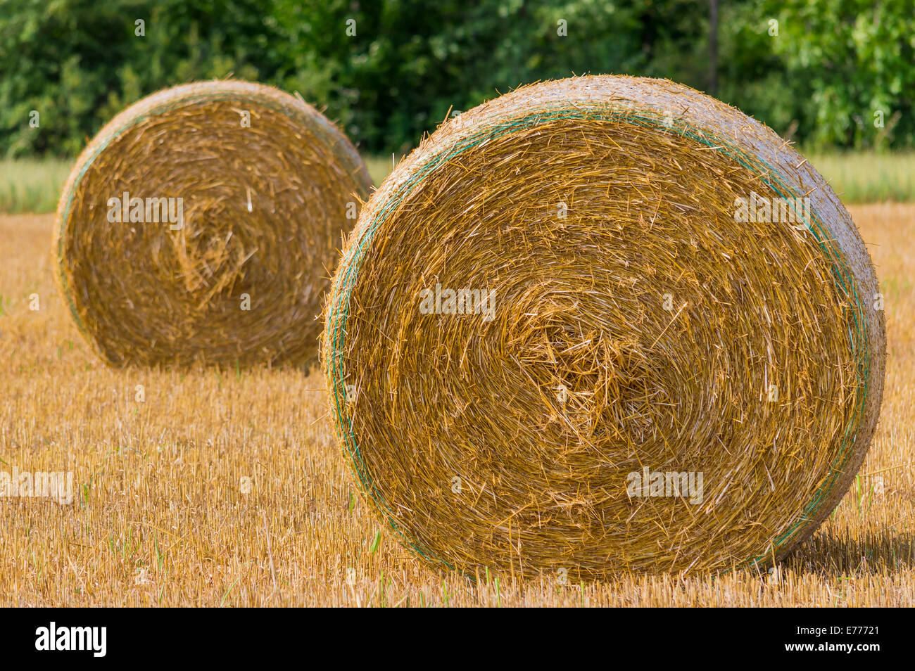 Two bales of hay Stock Photo - Alamy
