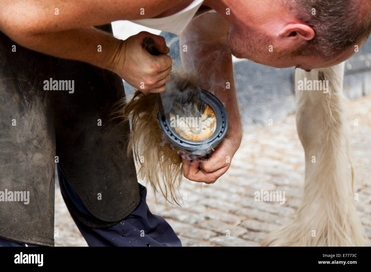 Farrier shoeing a horse in a stable yard Stock Photo - Alamy