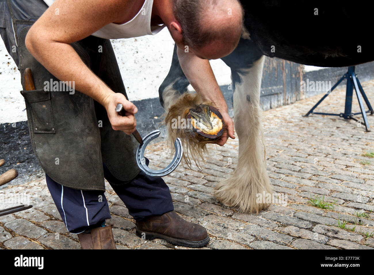 Farrier shoeing a horse in a stable yard Stock Photo - Alamy