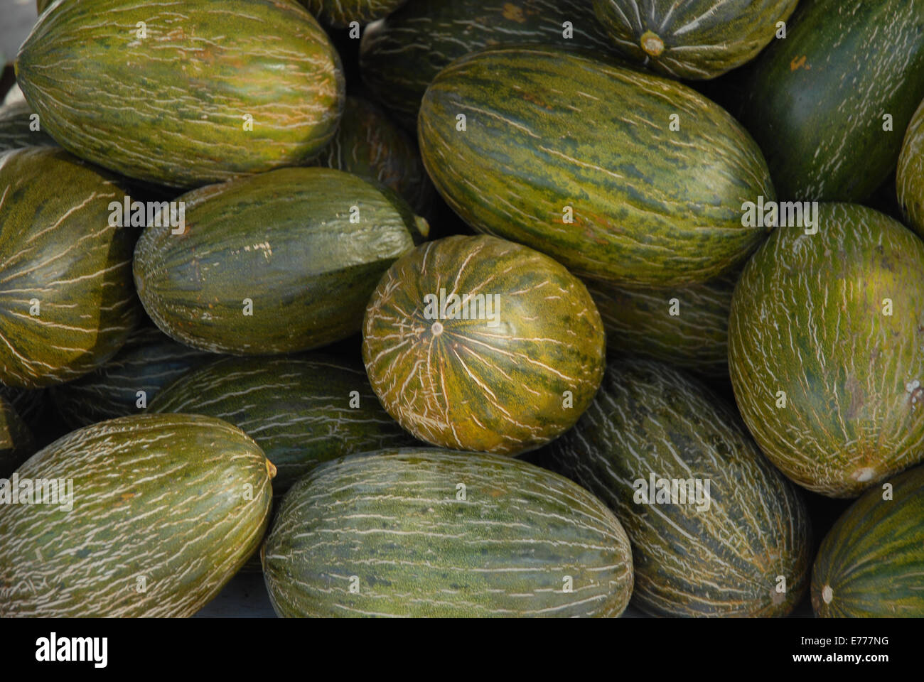 Piel de Sapo, the favoured melon of Spain Stock Photo - Alamy