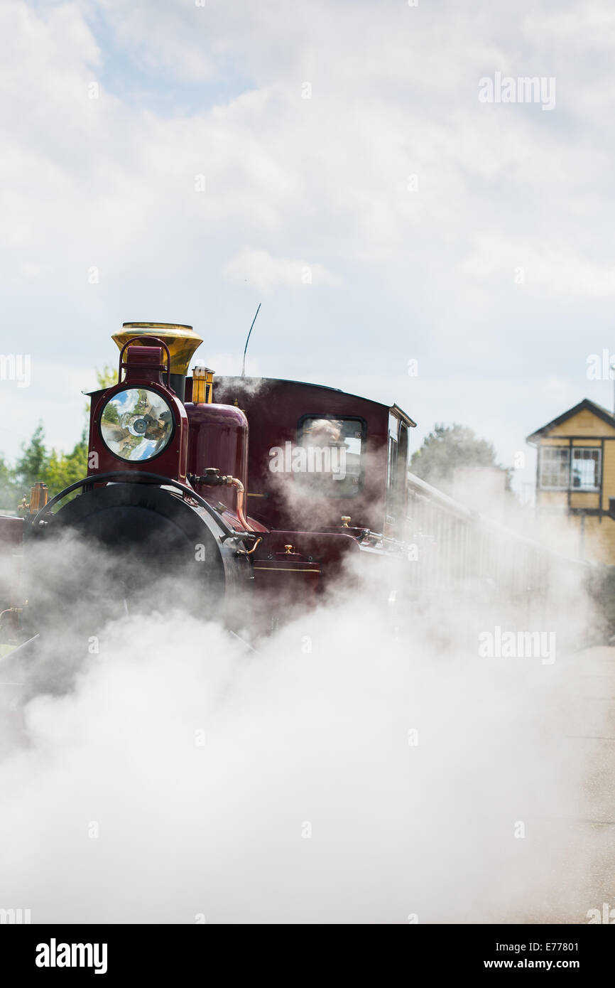 Narrow gauge railway locomotive . Wroxham Norfolk Broads England UK ...