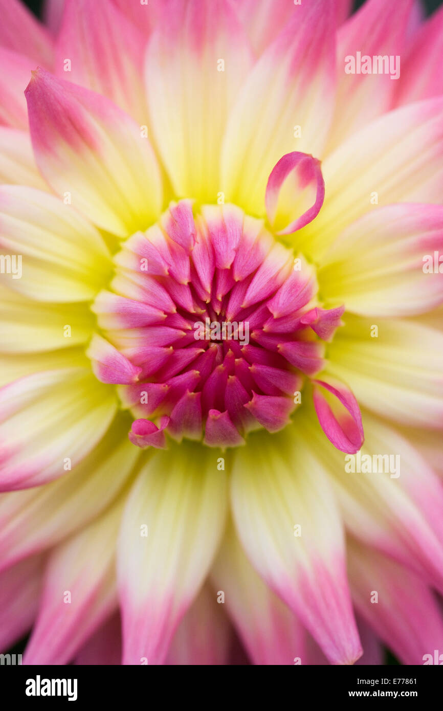 Melody melody hi-res stock photography and images - Alamy