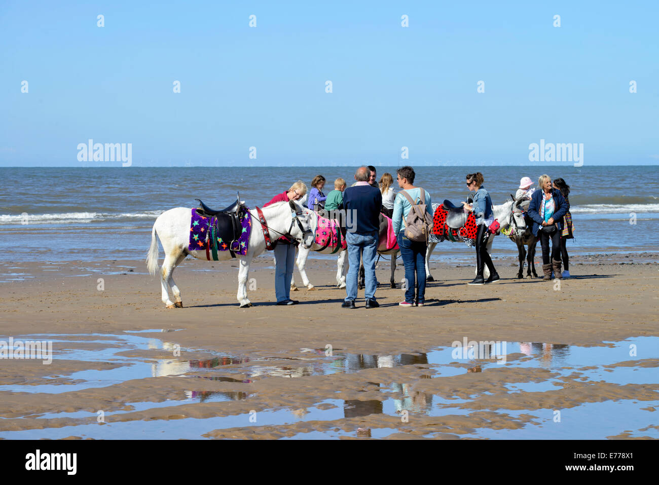 Traditional donkey rides on Blackpool beach Stock Photo - Alamy