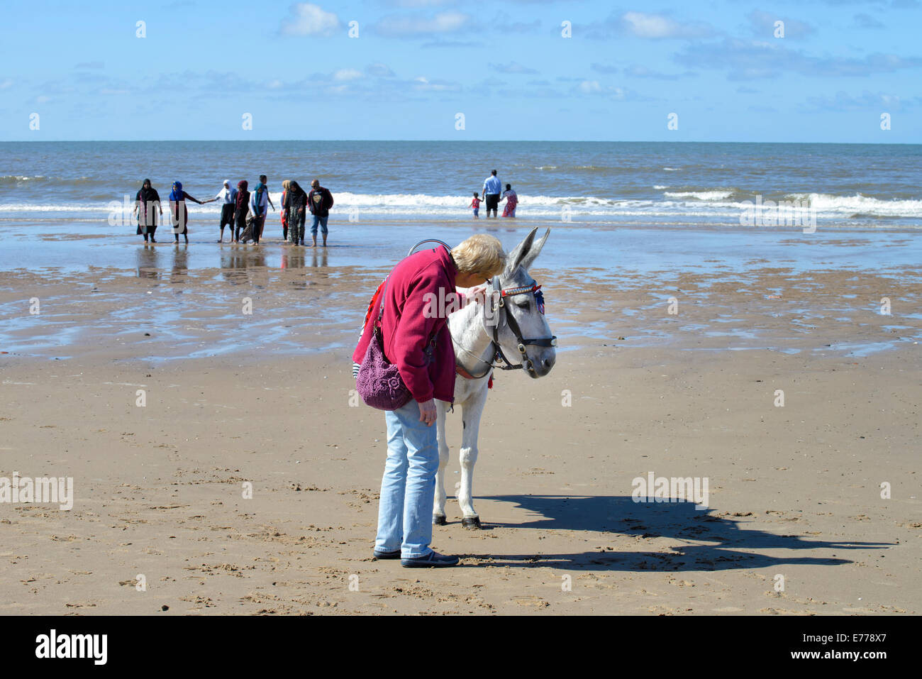 Donkey waiting for customers for traditional donkey rides on Blackpool ...