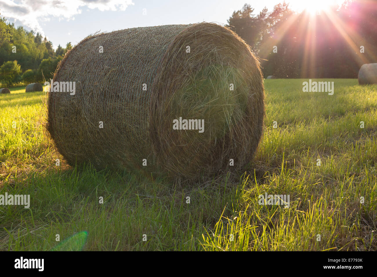 Hay bale background hi-res stock photography and images - Alamy
