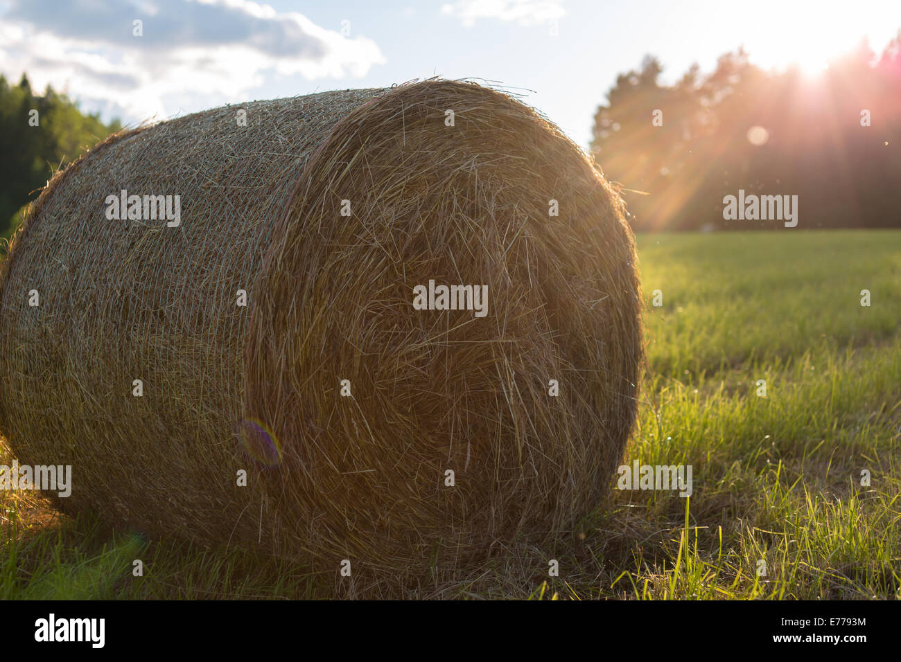 Hay bale background hi-res stock photography and images - Alamy