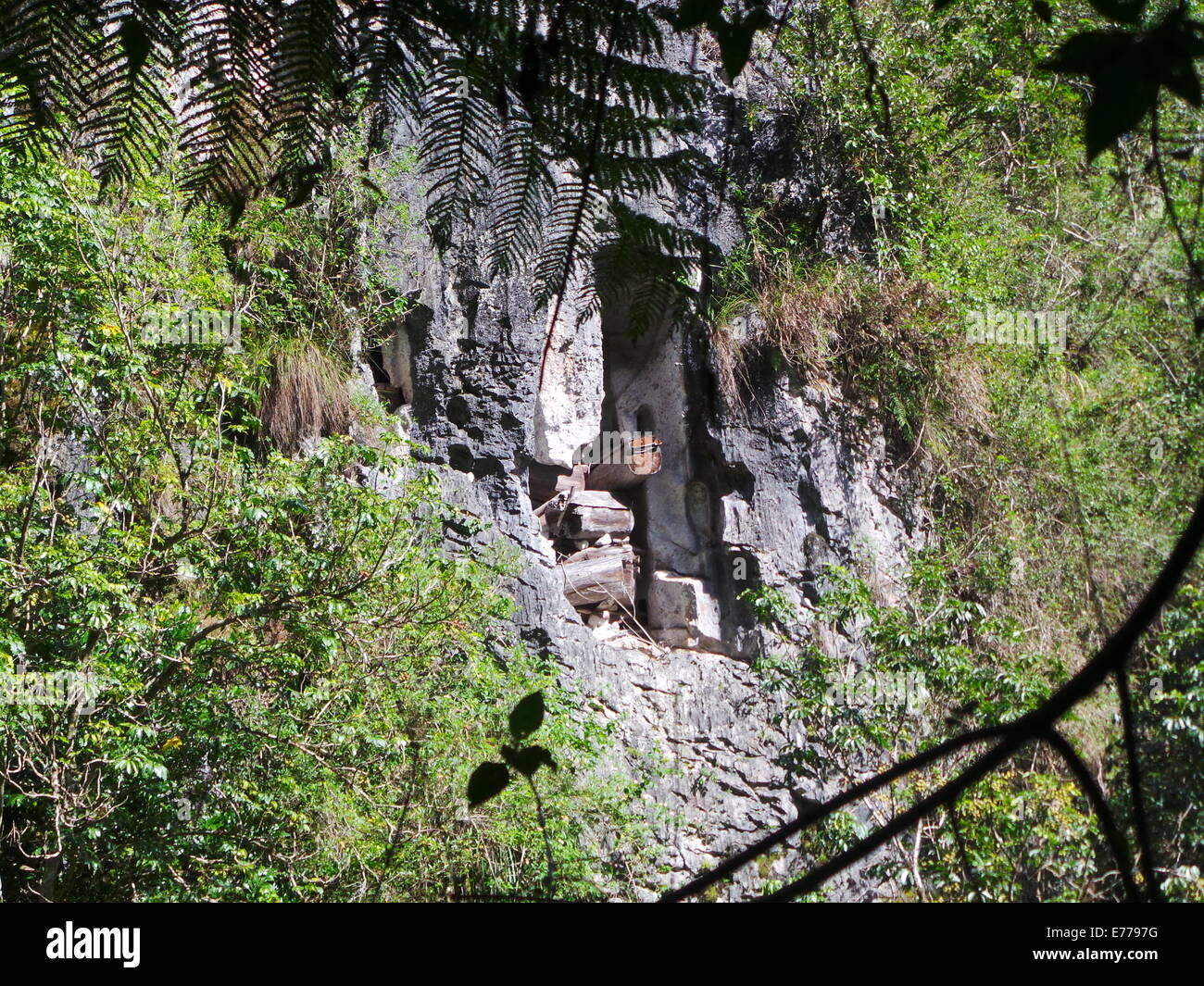 Sagada, Philippines. 7th September, 2014. Hanging coffins in Sagada ...