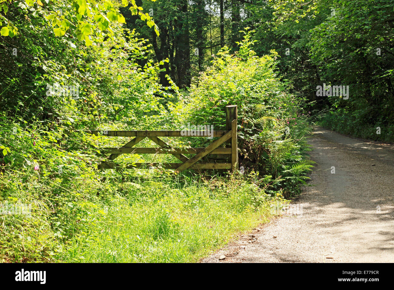 Farm gate hi-res stock photography and images - Alamy