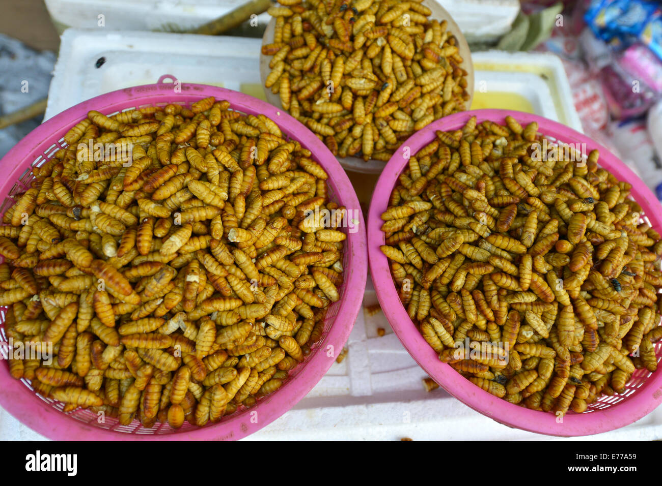 Insects and larvae at Talat Sao in Vientiane, Laos Stock Photo - Alamy