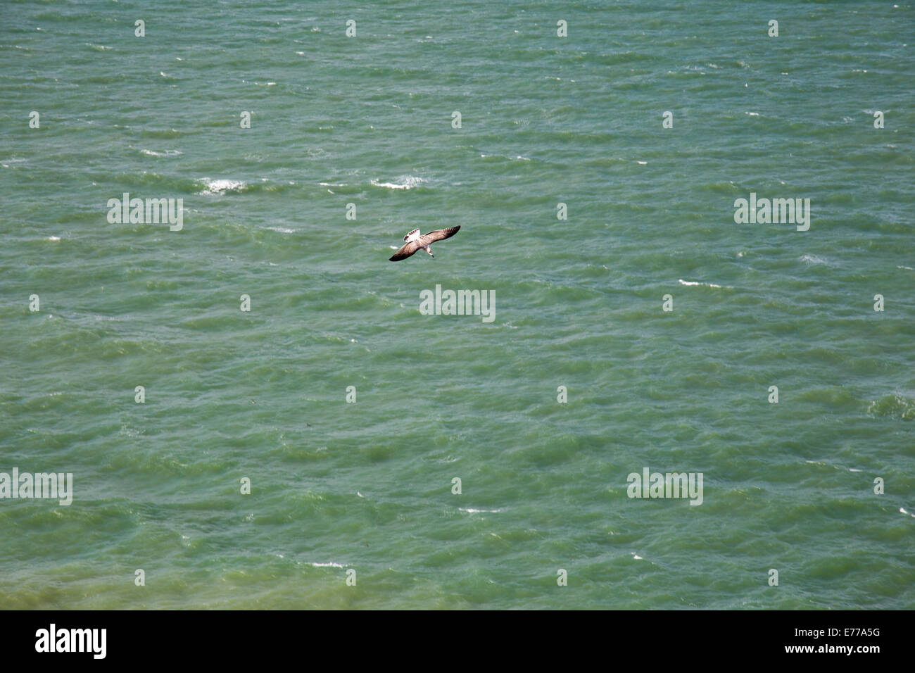 Flying english channel hi-res stock photography and images - Alamy