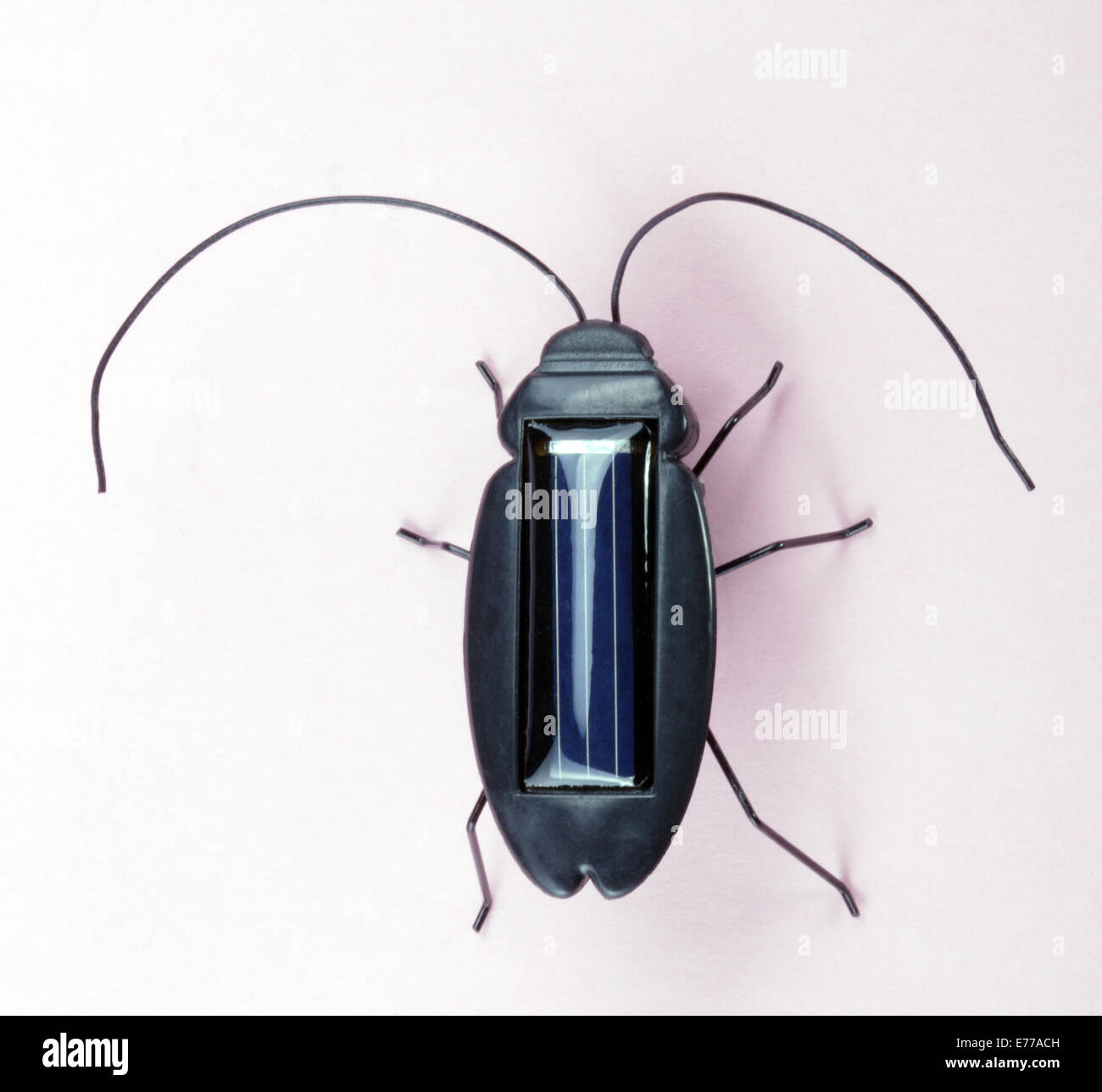 Electronic Bug Toy on Pink Background Stock Photo - Alamy