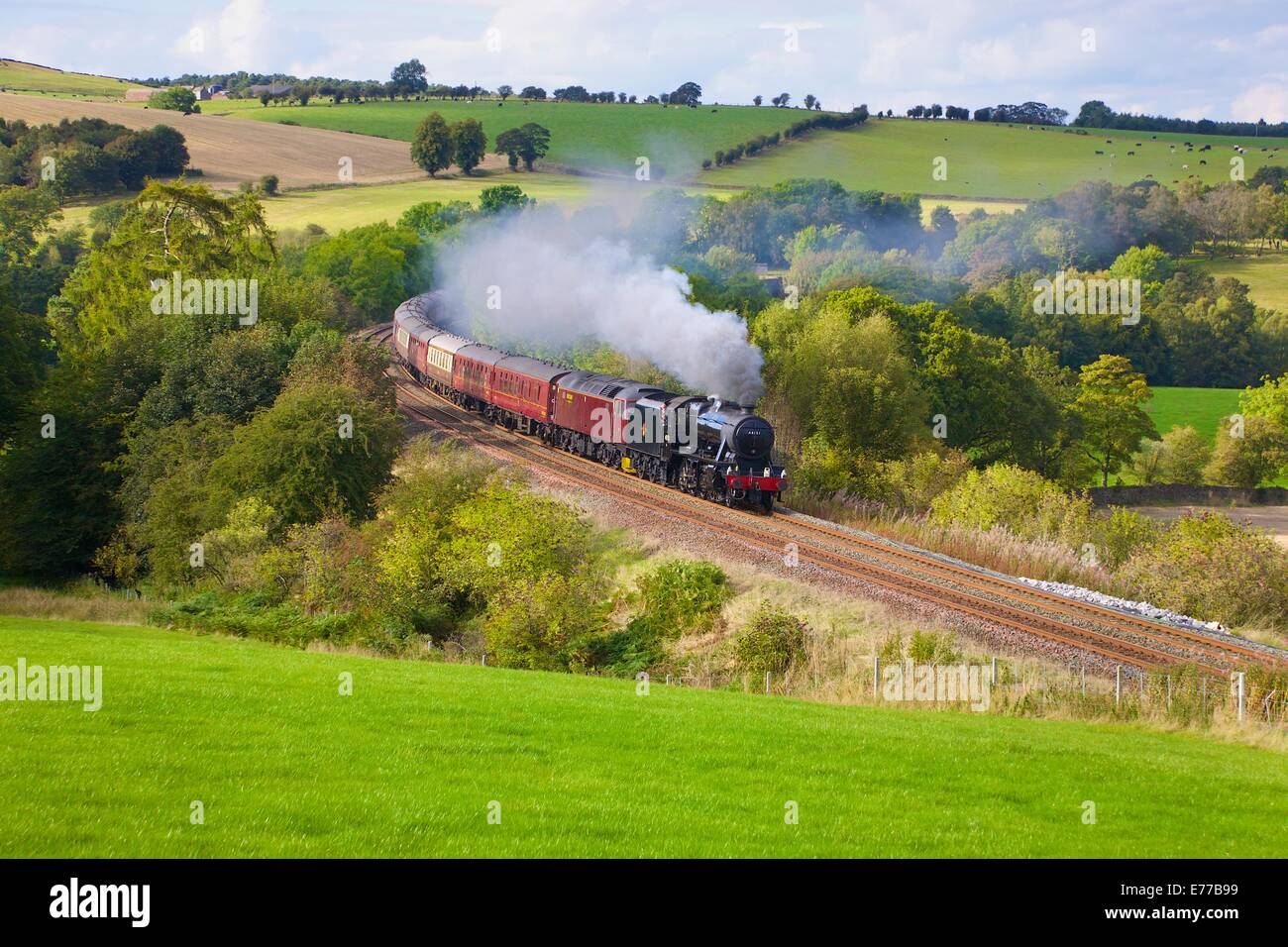 LMS Stanier Class 8F 48151, steam train near Low Baron Wood Farm ...