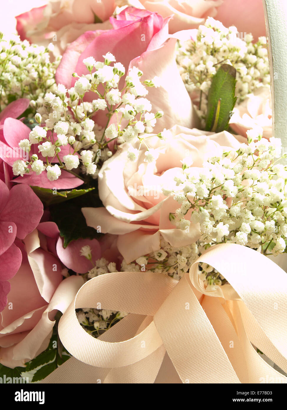 Symbols of beauty hi-res stock photography and images - Alamy