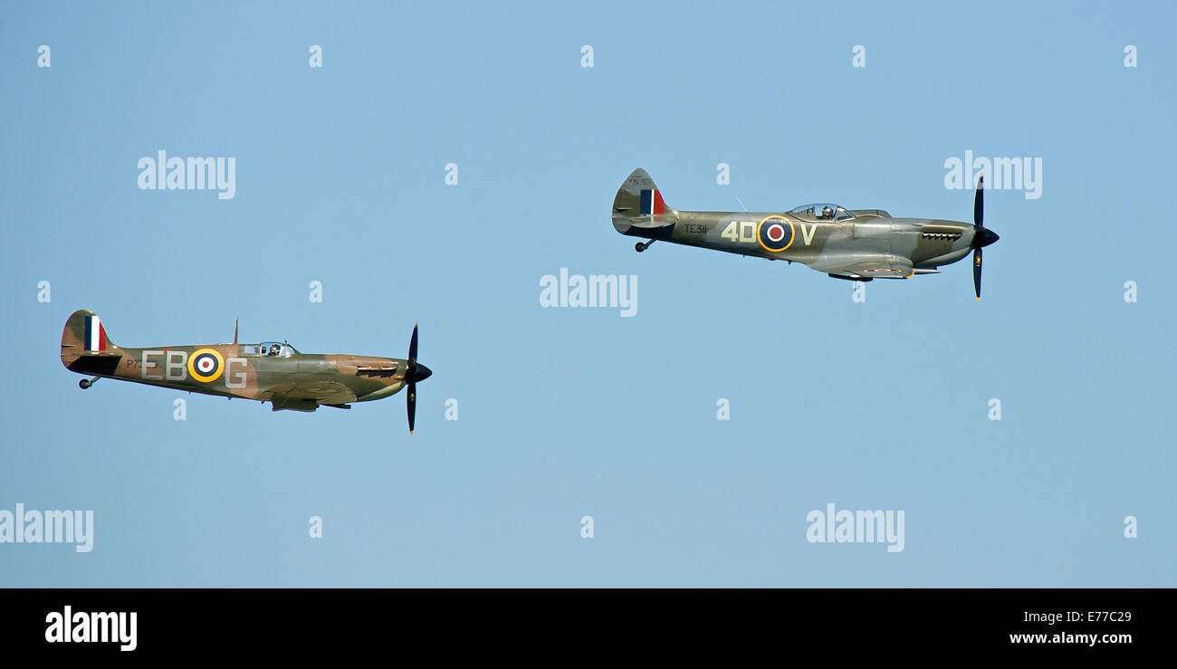 Spitfires hi-res stock photography and images - Alamy