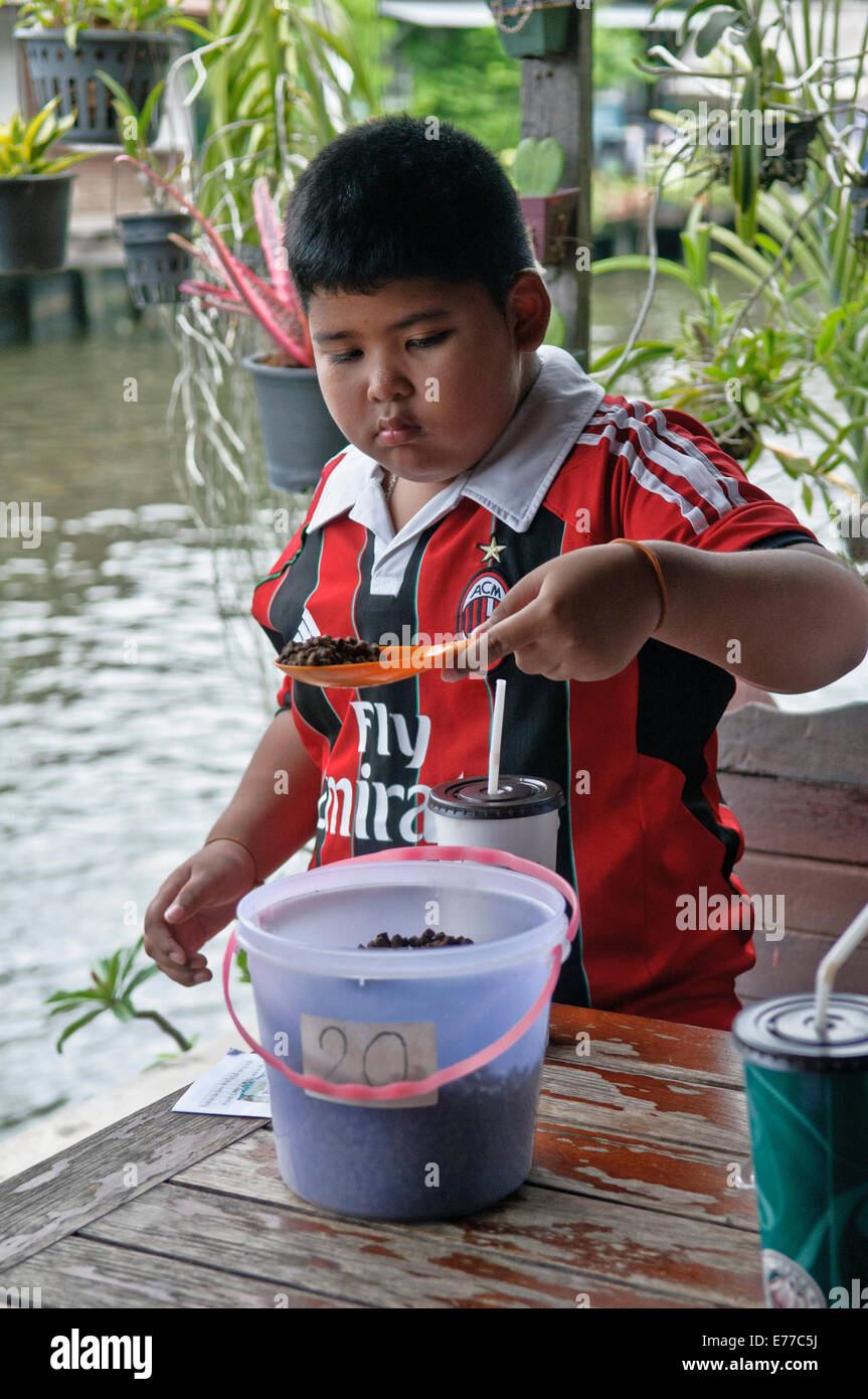 Boy feeding fish at Klong Bang Luang Artist Village in Thonburi side of ...