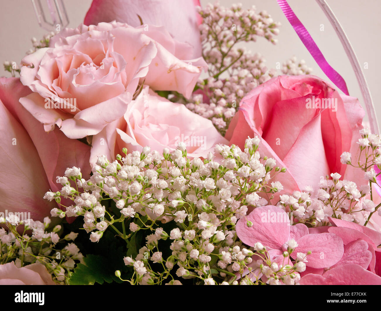 Nature symbols hi-res stock photography and images - Alamy