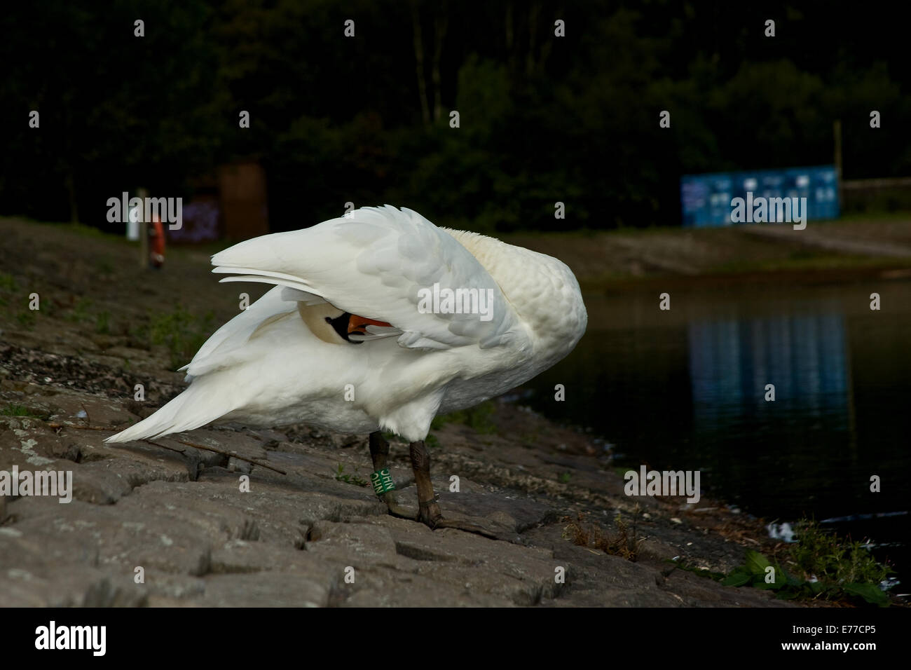 Clatto country park scotland hi-res stock photography and images - Alamy