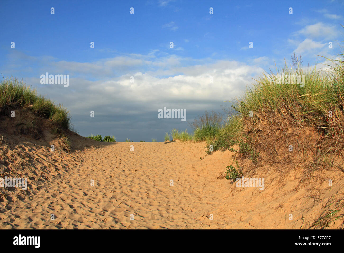 Sand dunes in Sleeping Bear National Park, along Lake Michigan in Glen ...