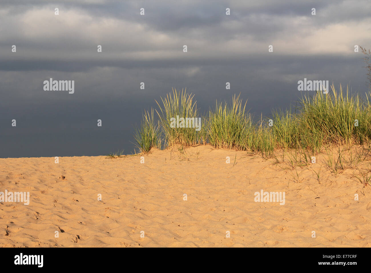 Sand dunes in Sleeping Bear National Park, along Lake Michigan in ...