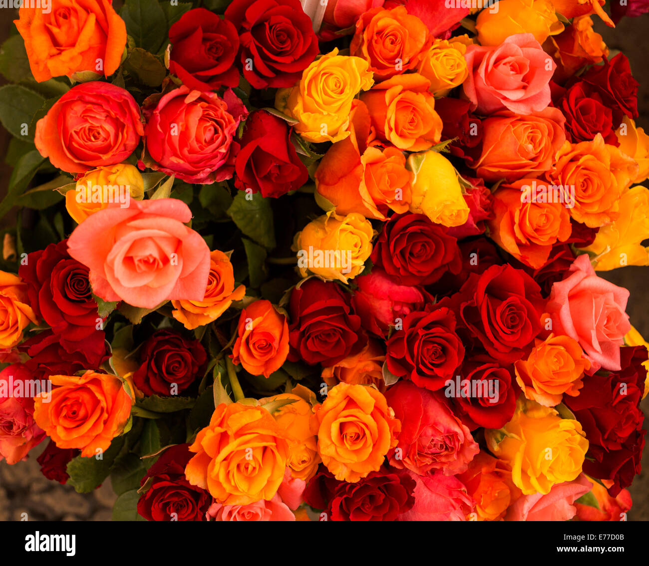 Massed floral display hi-res stock photography and images - Alamy