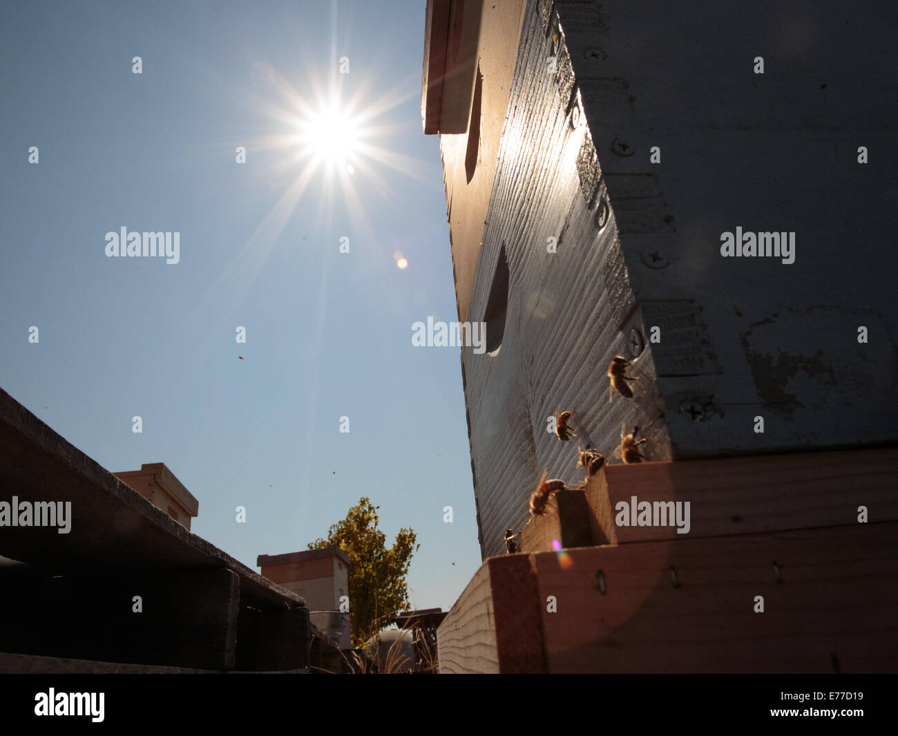 Warmed by sun hi-res stock photography and images - Alamy