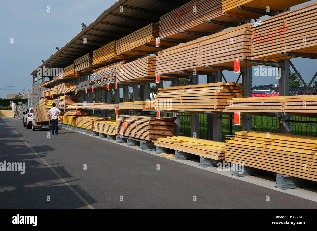 man looking at wood in timber yard Stock Photo - Alamy